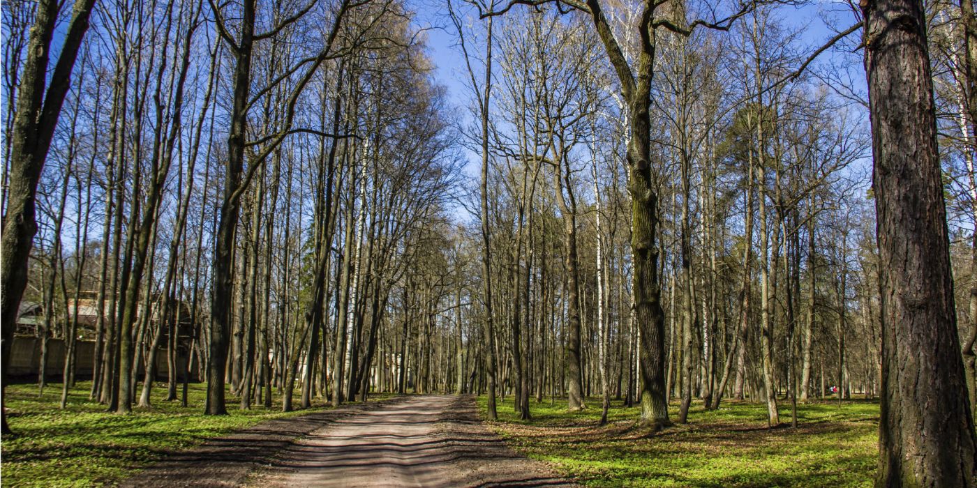 What is Transactional Service? - Submissive Guide